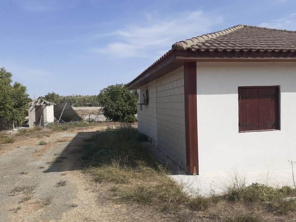 Property 20299, Pascal, Larnaca - David Spyrou Estates