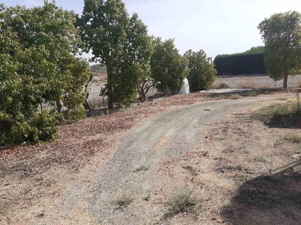 Property 20299, Pascal, Larnaca - David Spyrou Estates