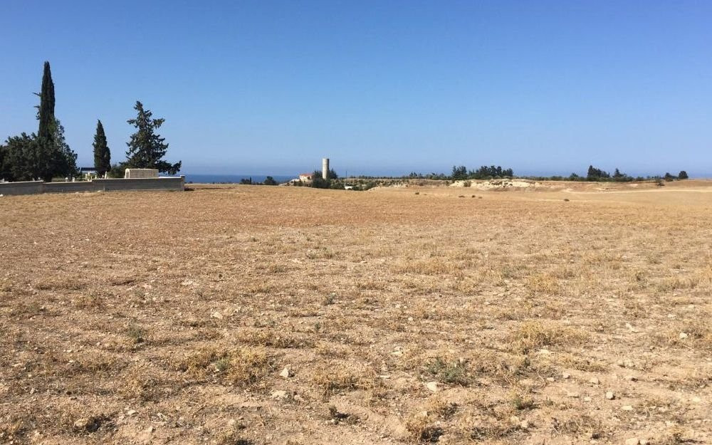 Field in Timi, Paphos - NGM Cyprus Property