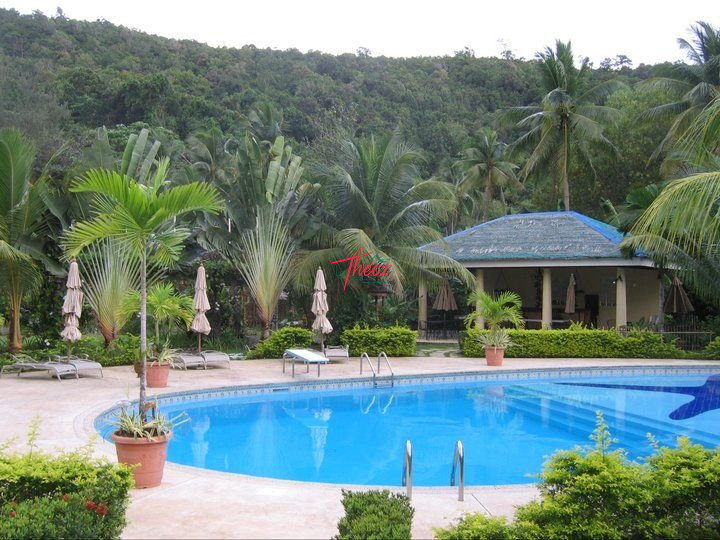 PROPERTY BEACH RESORT @ TANGALAN AKLAN NEAR BORACAY FOR SALE - La Theoz ...
